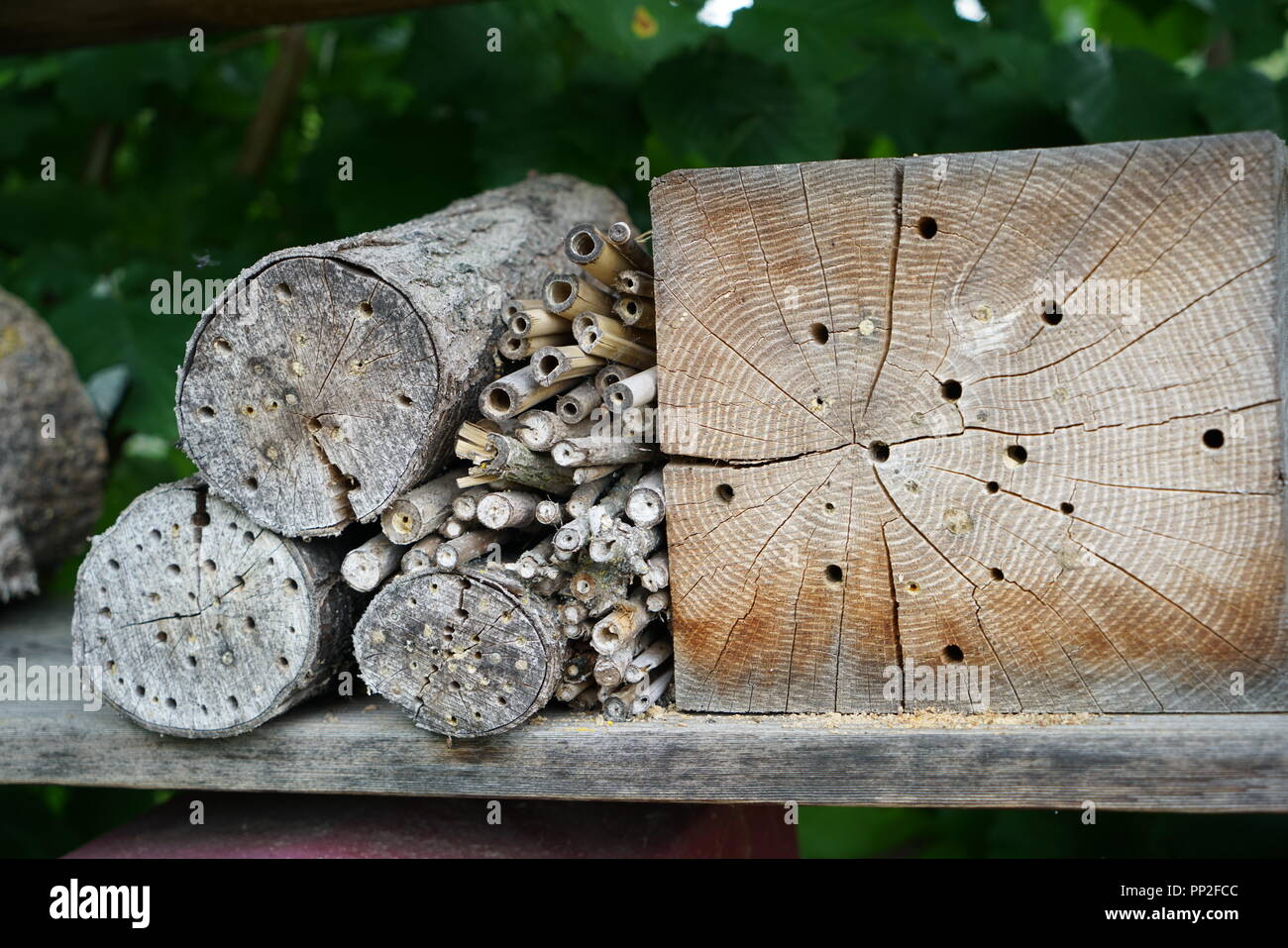 An insect hotel or insect house is an artificially created nesting and ...