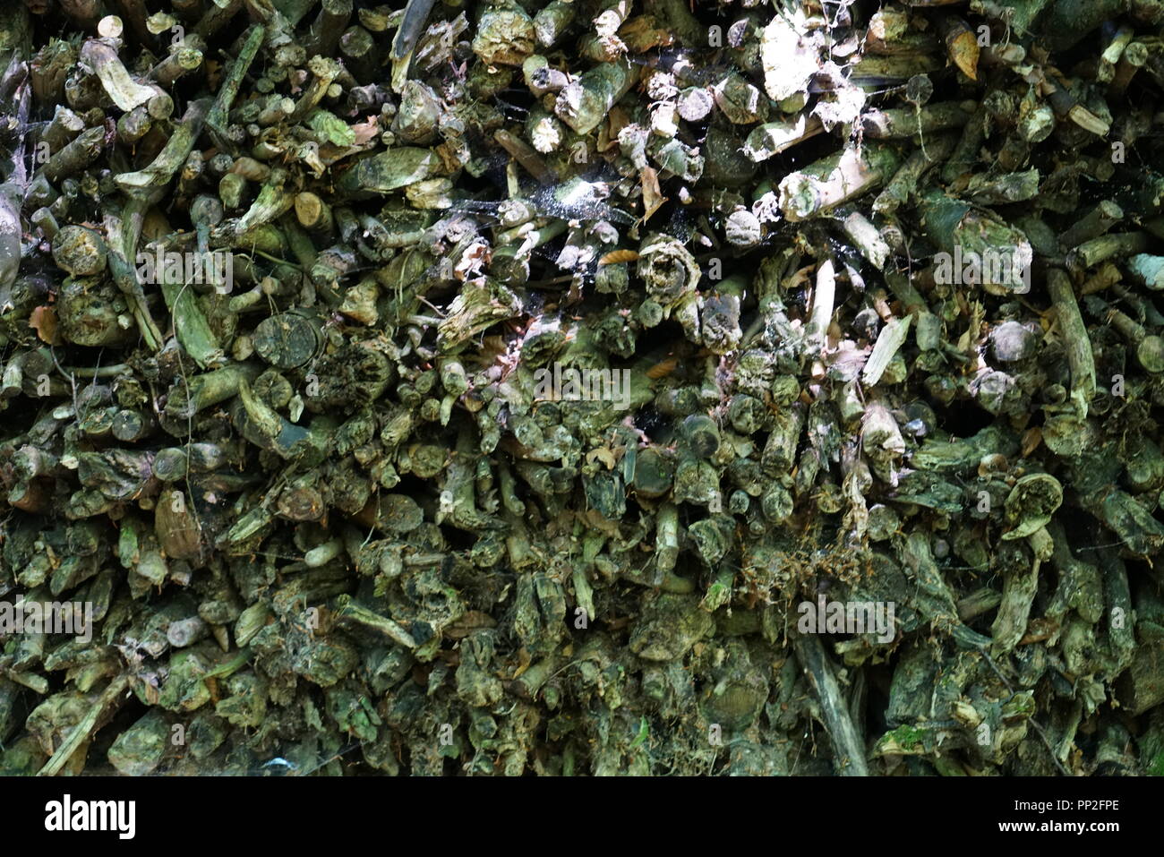 Is an artificially created nesting and wintering aid for insects hi-res ...