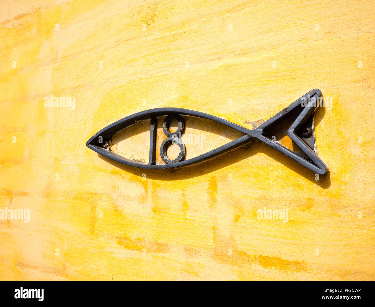18 Fish High Resolution Stock Photography and Images - Alamy