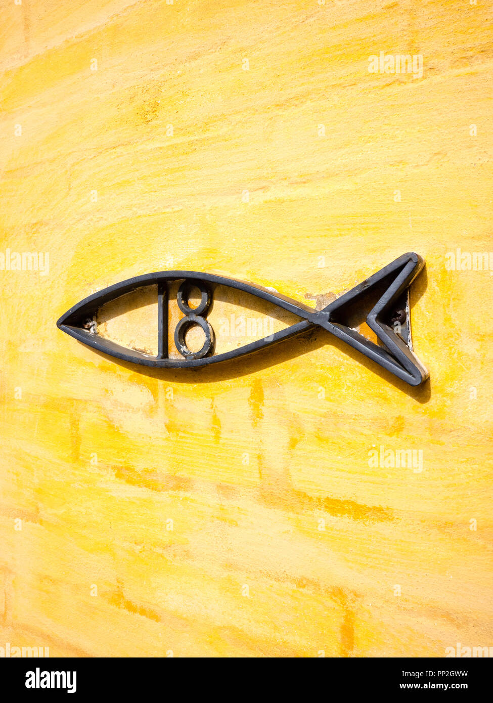 18 fish hi-res stock photography and images - Alamy