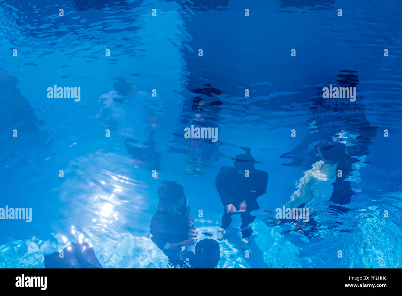 Kanazawa 21st Century Museum Swimming Pool Stock Photo - Alamy
