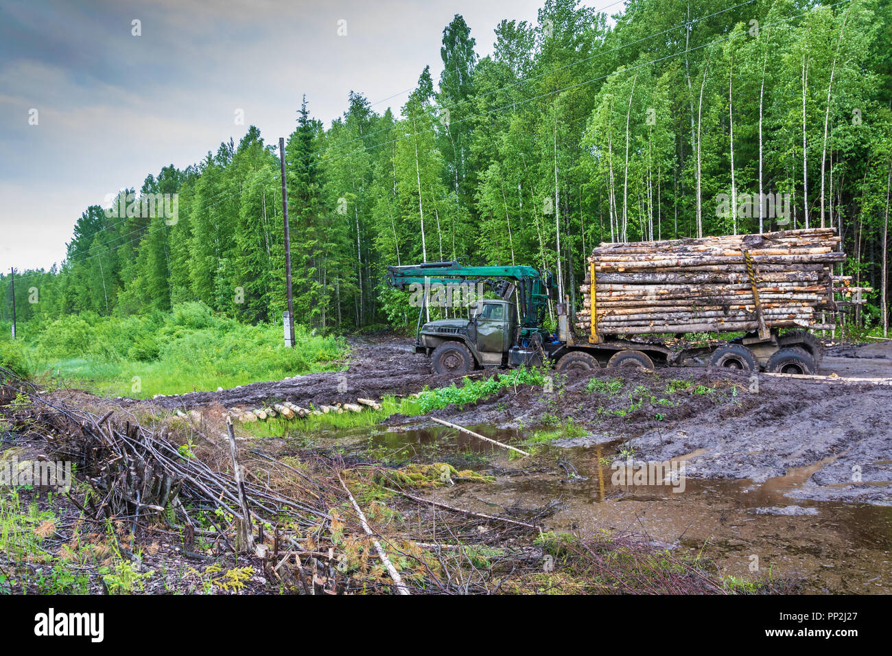 Logging car hi-res stock photography and images - Alamy