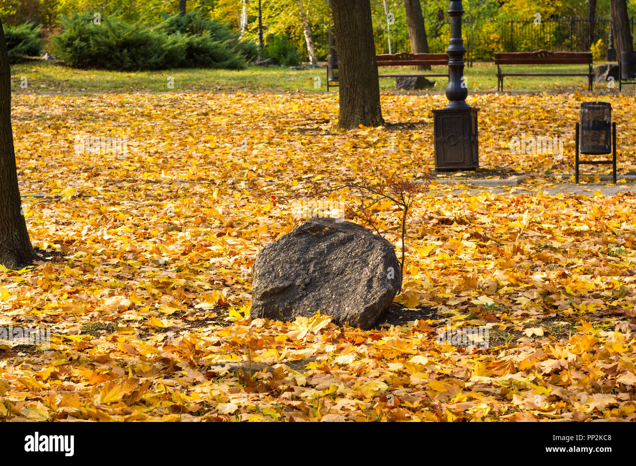 Urban autumn landscape with colorful trees in sunlight Stock Photo - Alamy