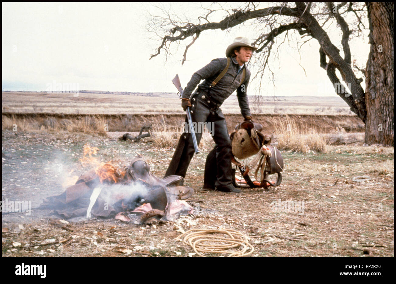 Wiard Stock Photos & Wiard Stock Images - Alamy