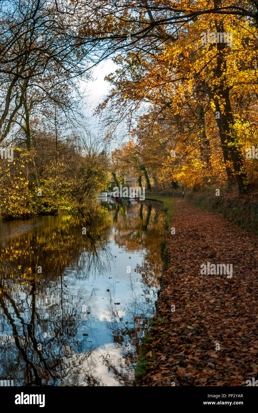 Salwick hi-res stock photography and images - Alamy