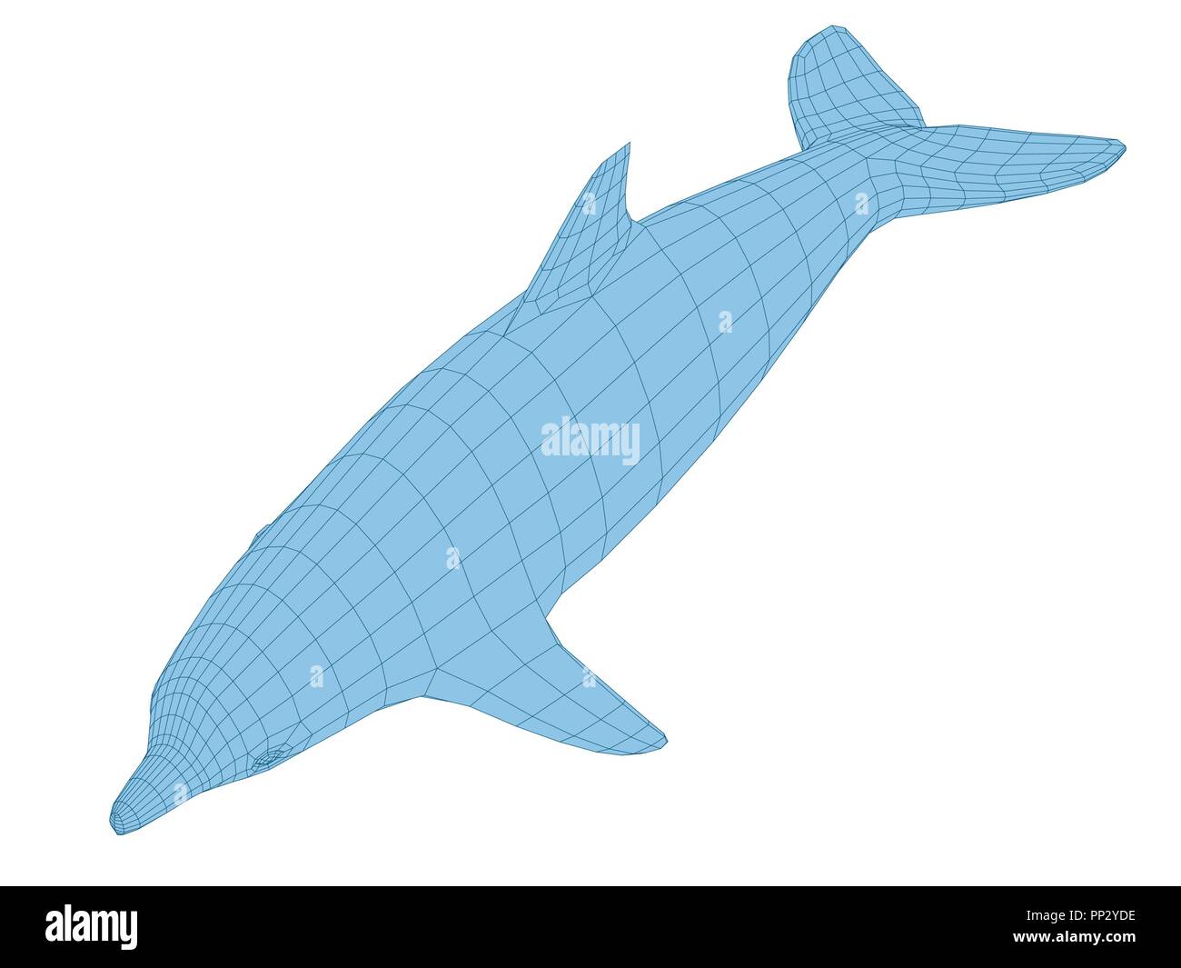 Anatomy Dolphin High Resolution Stock Photography and Images - Alamy