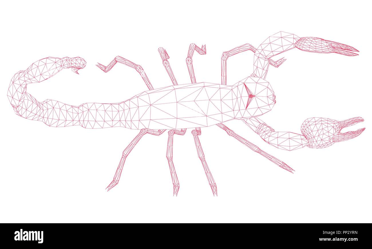 Vector illustration of polygonal scorpion. Isolated Stock Vector Image ...