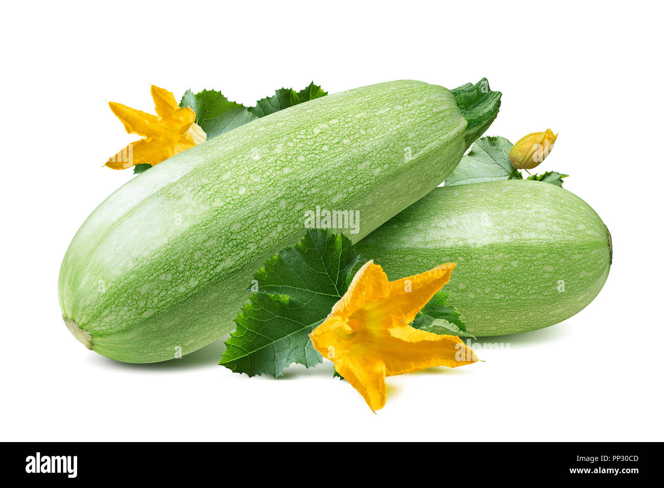 White zucchini squash hi-res stock photography and images - Alamy