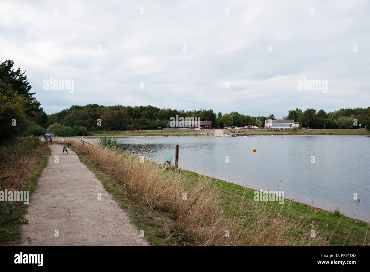 the pathway around the lake at thryburgh country park Stock Photo - Alamy