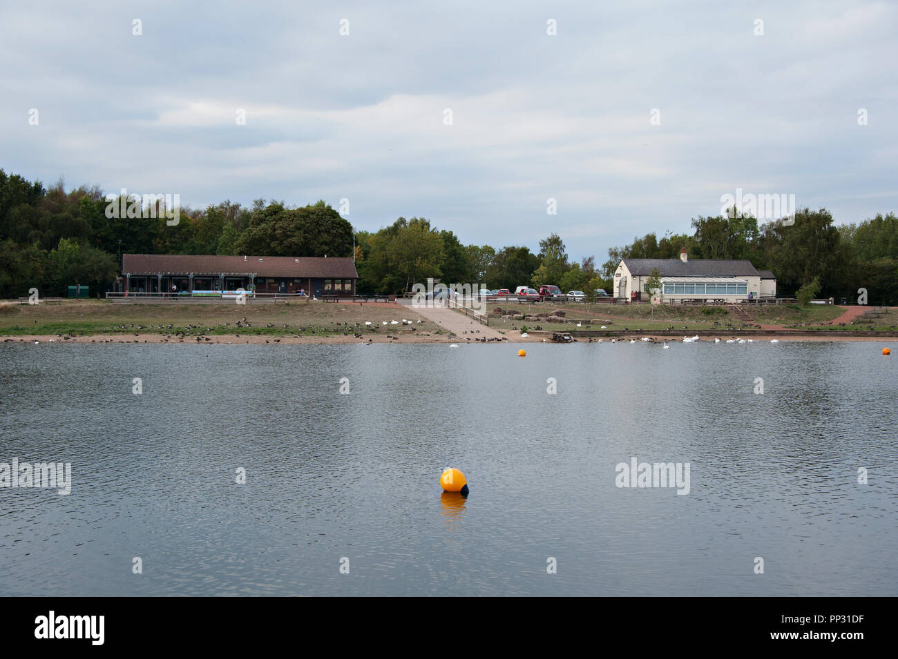 the lake at thryburgh country park rotherham Stock Photo - Alamy