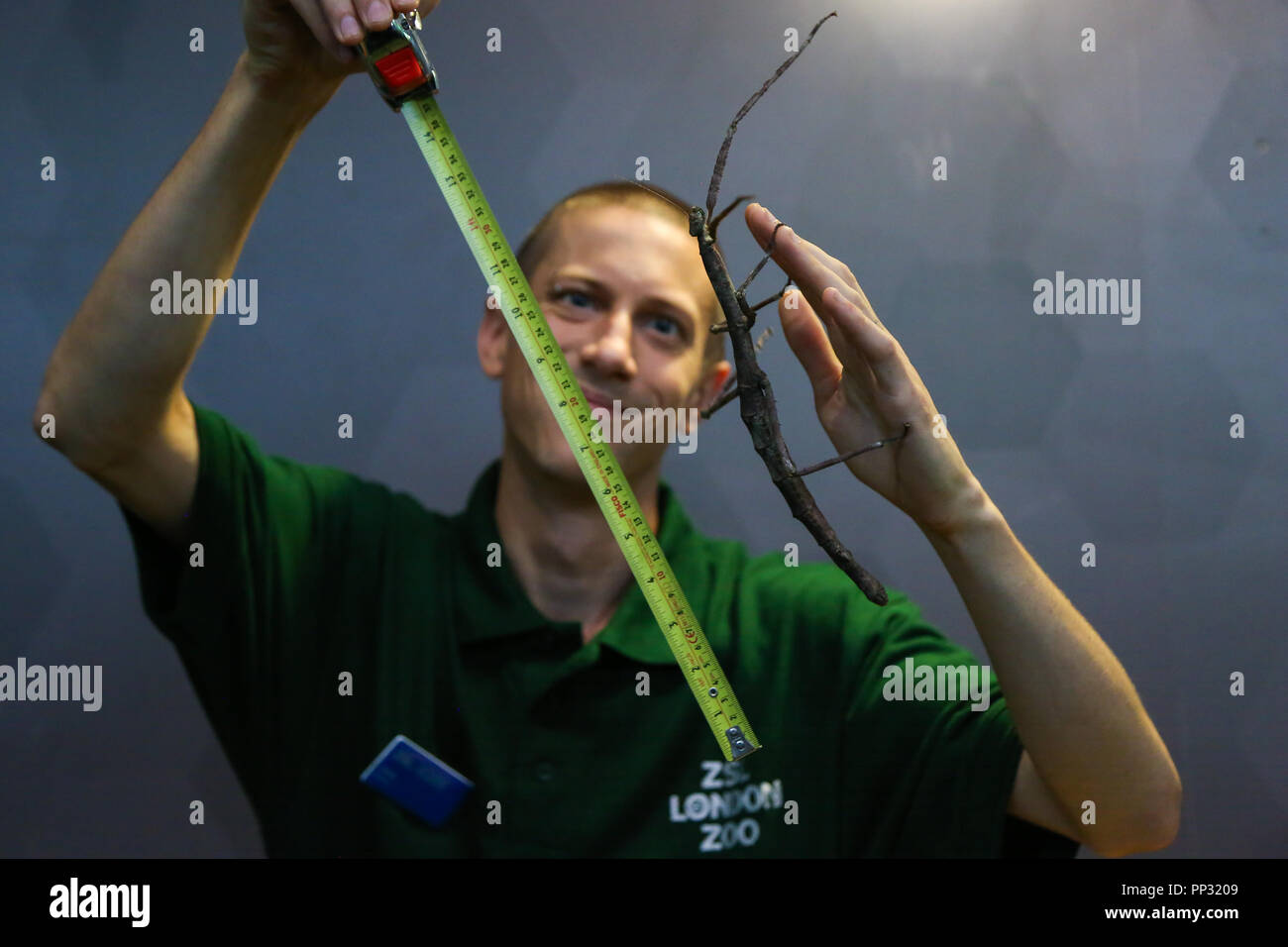 Zoo’s keeper weighs and measures animals during the annual weigh-in at ...