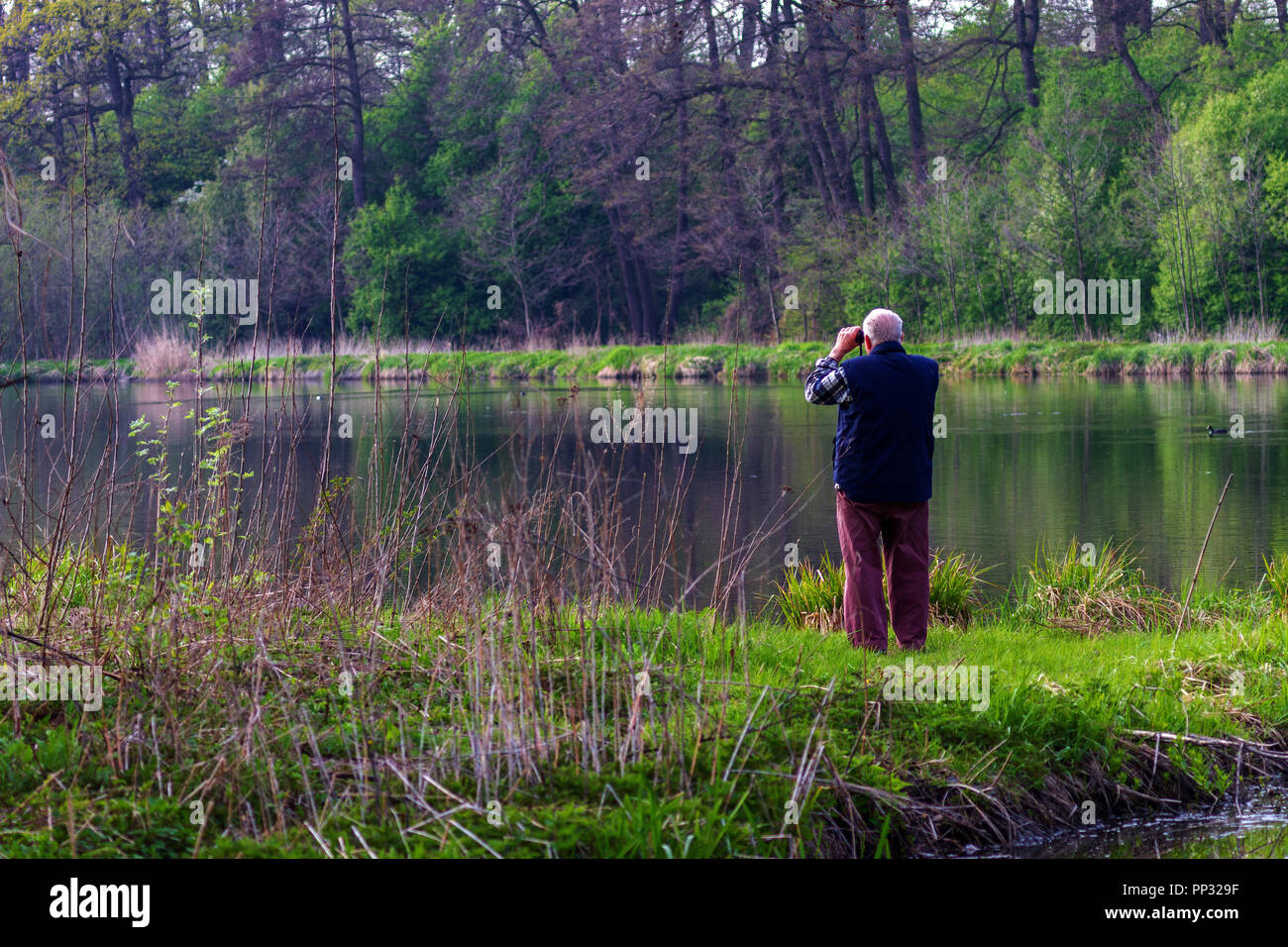 Man watching birds hi-res stock photography and images - Alamy