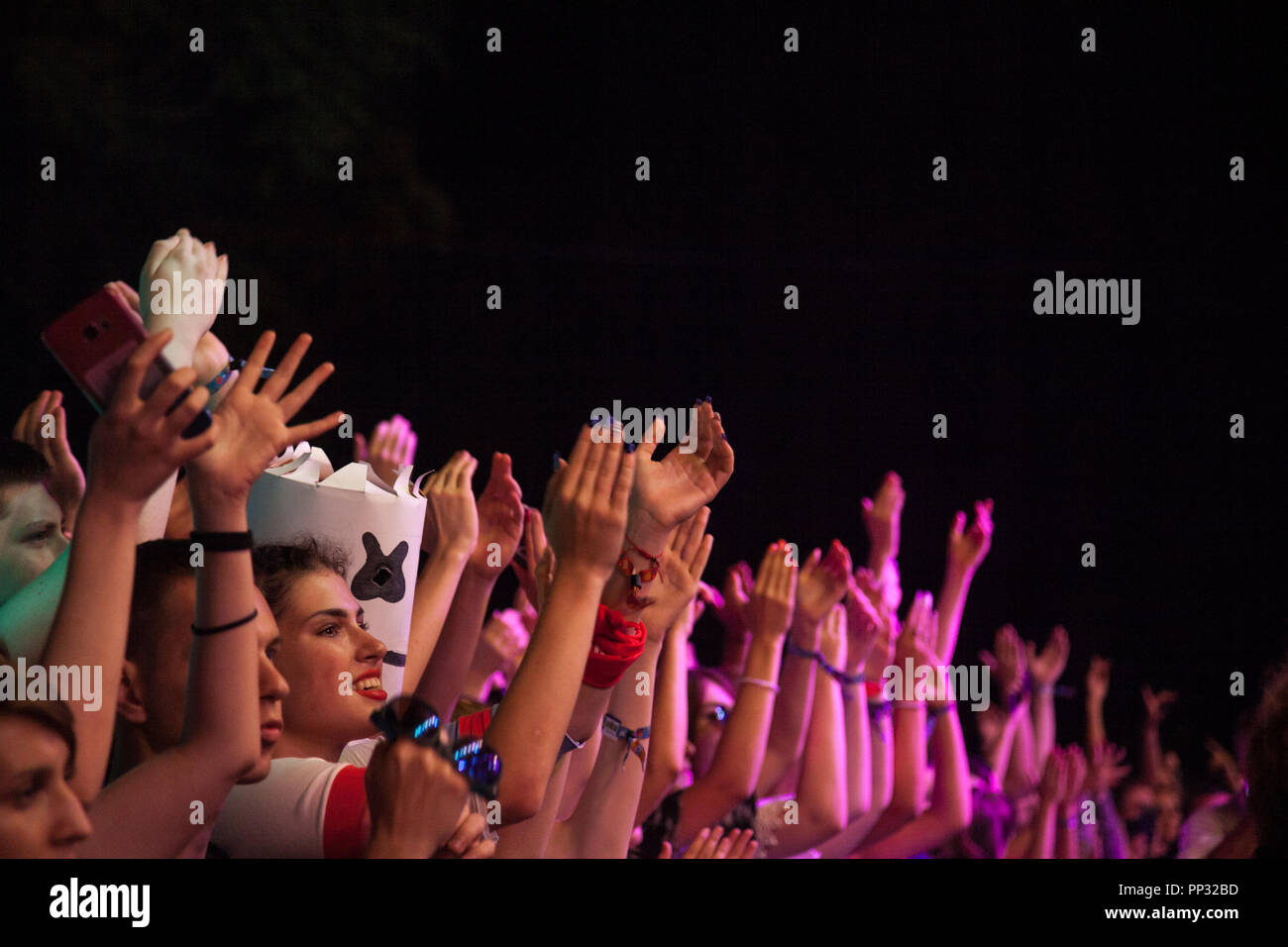 Crowd Of People Cheering From Behind