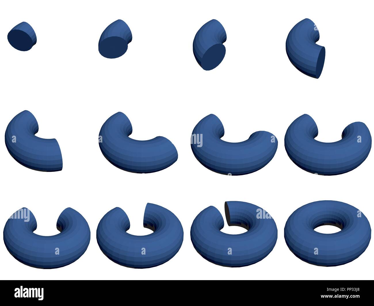 Vector illustration set of a torus. Stepwise formation. Animation. 3D ...