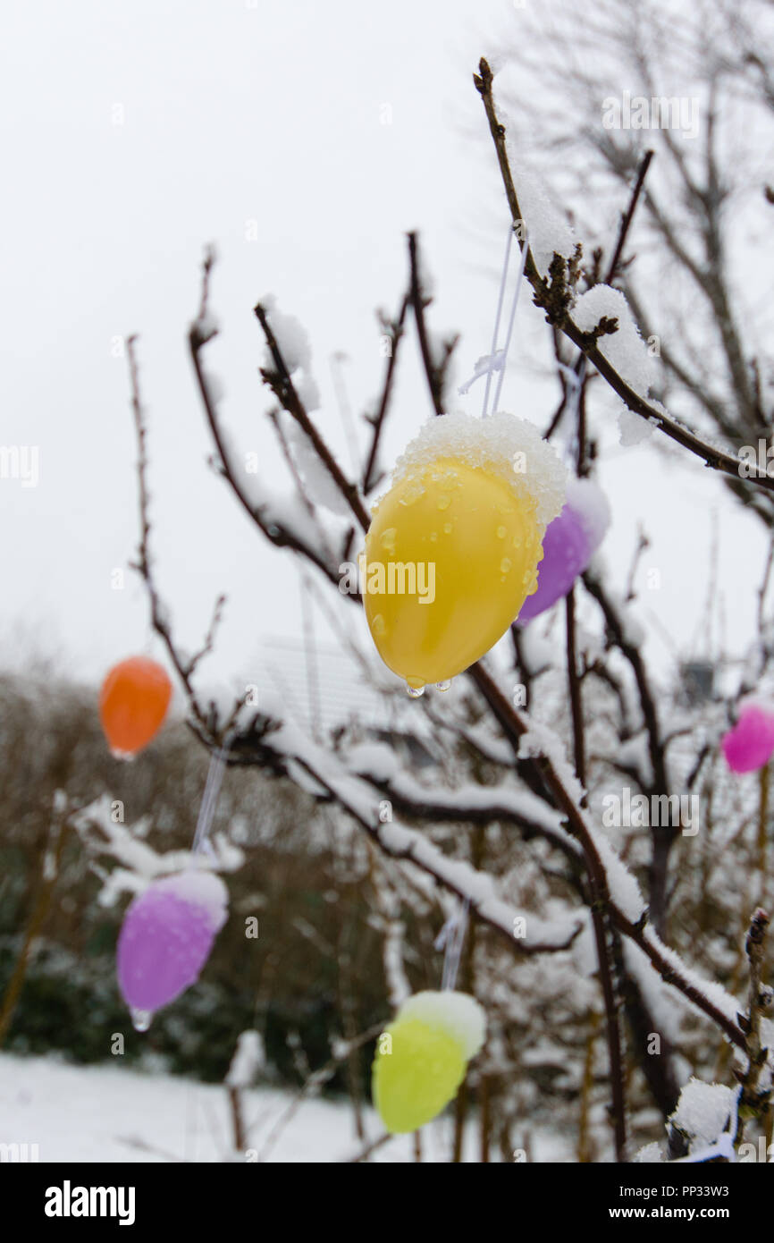 In a snowy garden hi-res stock photography and images - Alamy