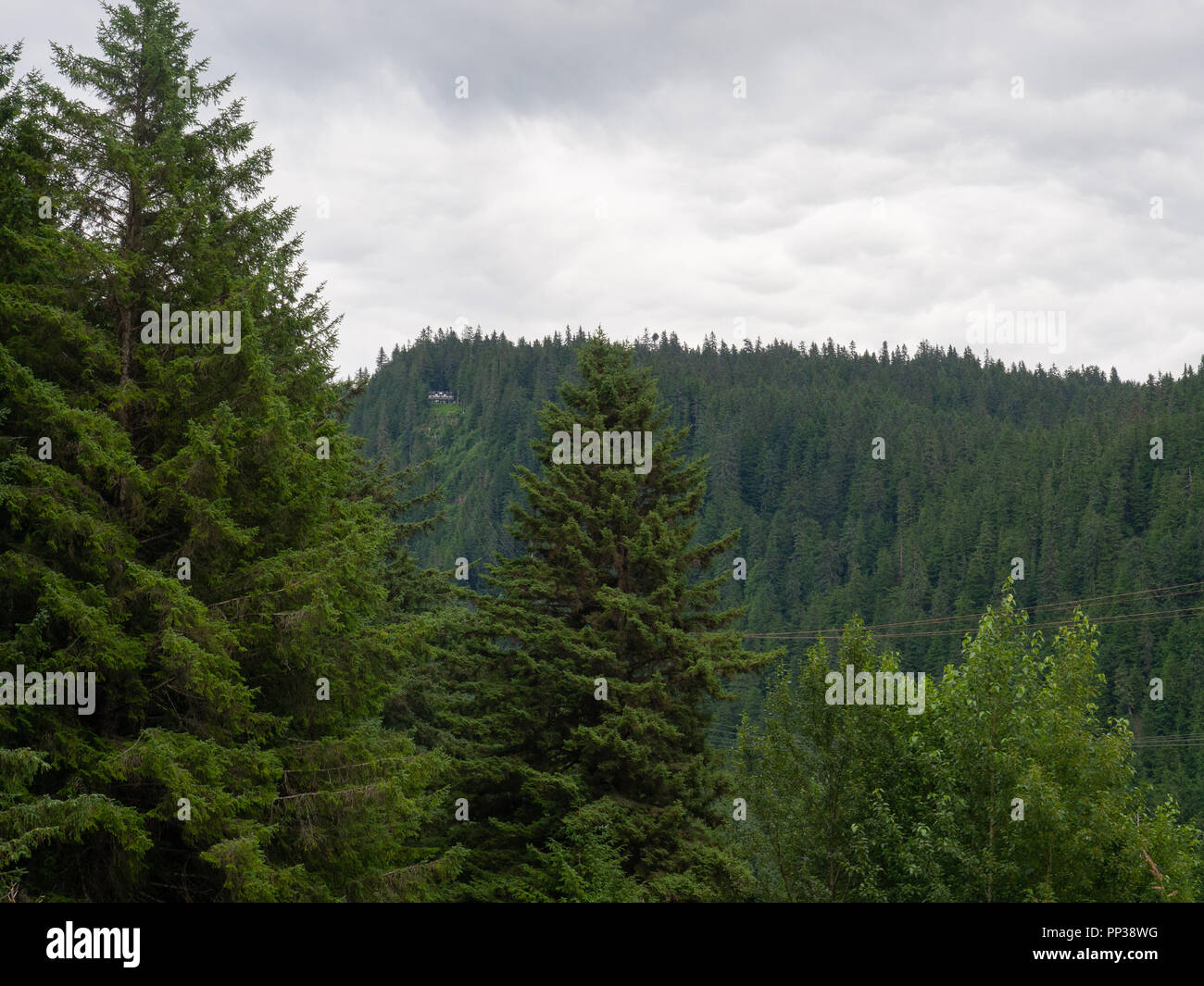 Strait trees hi-res stock photography and images - Alamy