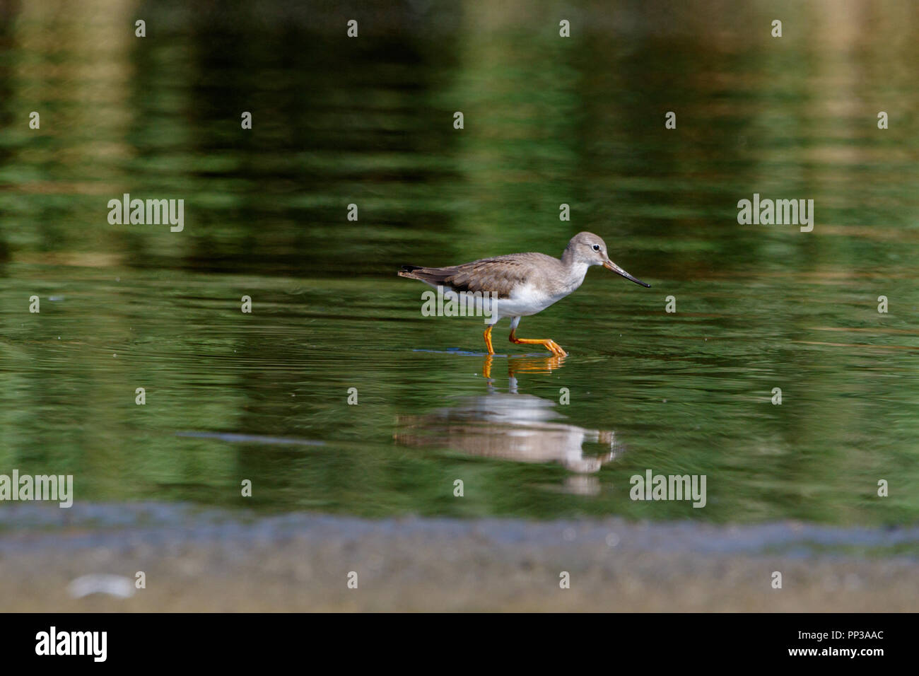 Terek region hi-res stock photography and images - Alamy