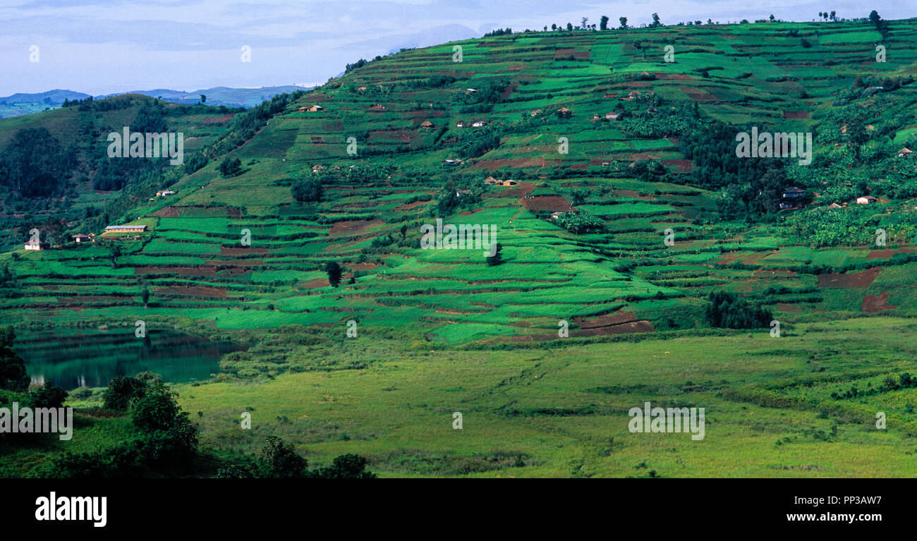 Terracing africa hi-res stock photography and images - Alamy