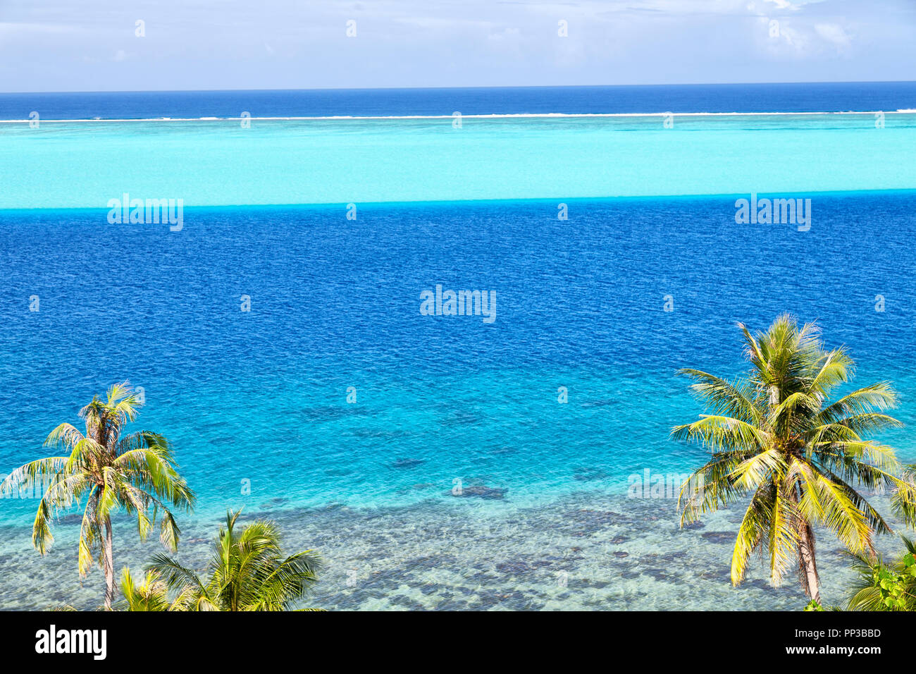 in polynesia bora bora the view in the coastline lagoon and palm like ...