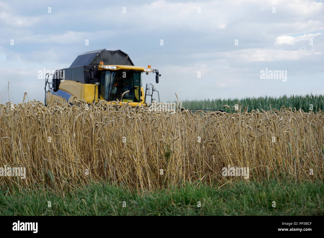 With modern machines, working in agriculture is much easier, here a ...
