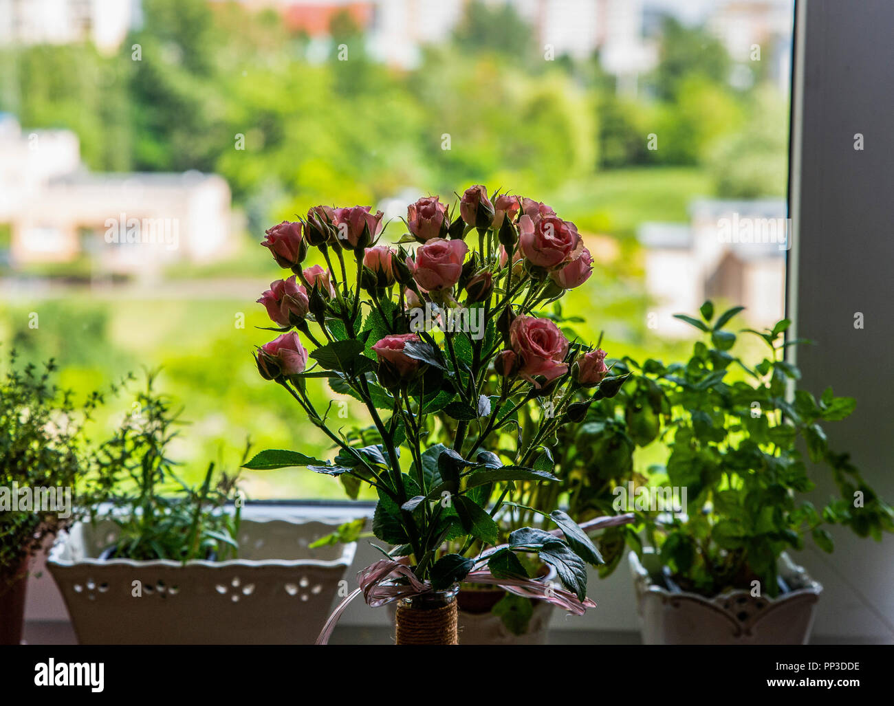 red roses in the kitchen Stock Photo - Alamy