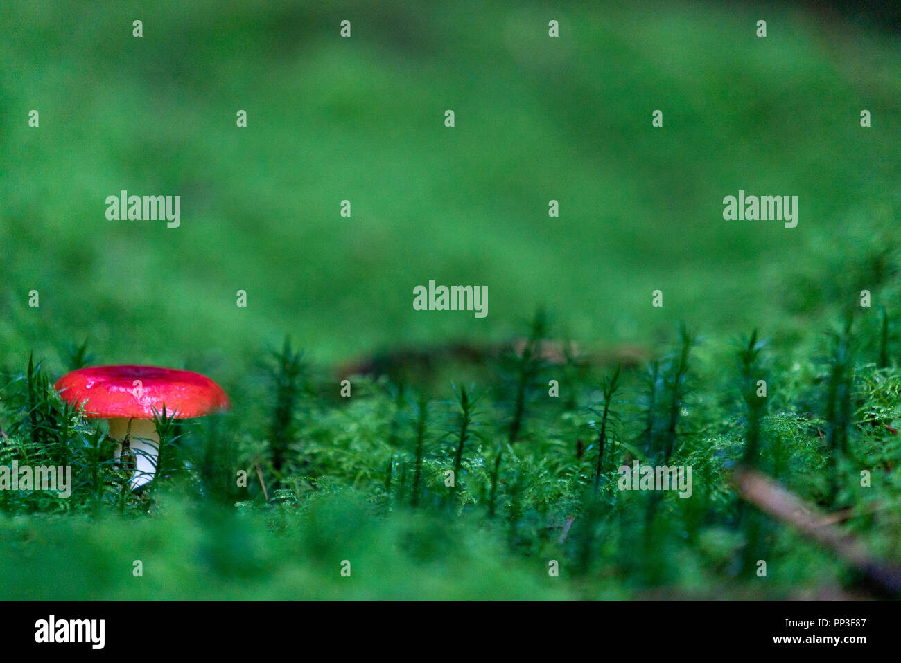 National parks of england and wales hi-res stock photography and images ...