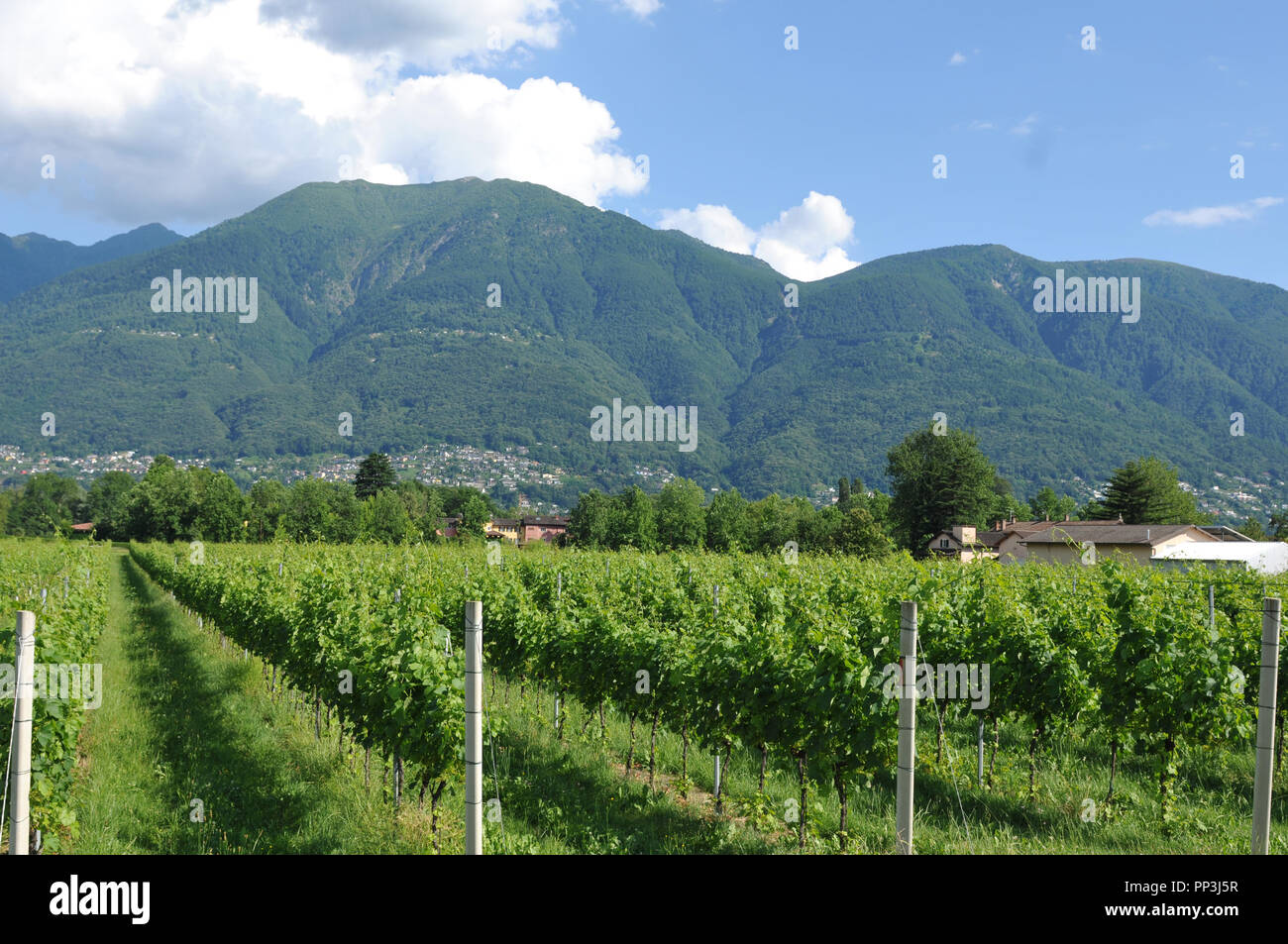Maggia river delta hi-res stock photography and images - Alamy