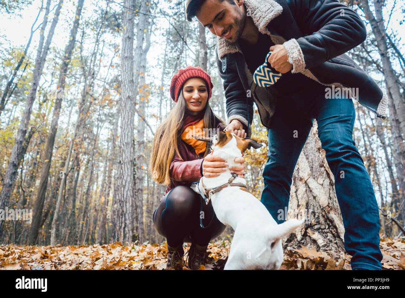 Woman and man walking their dog throwing a stick Stock Photo - Alamy
