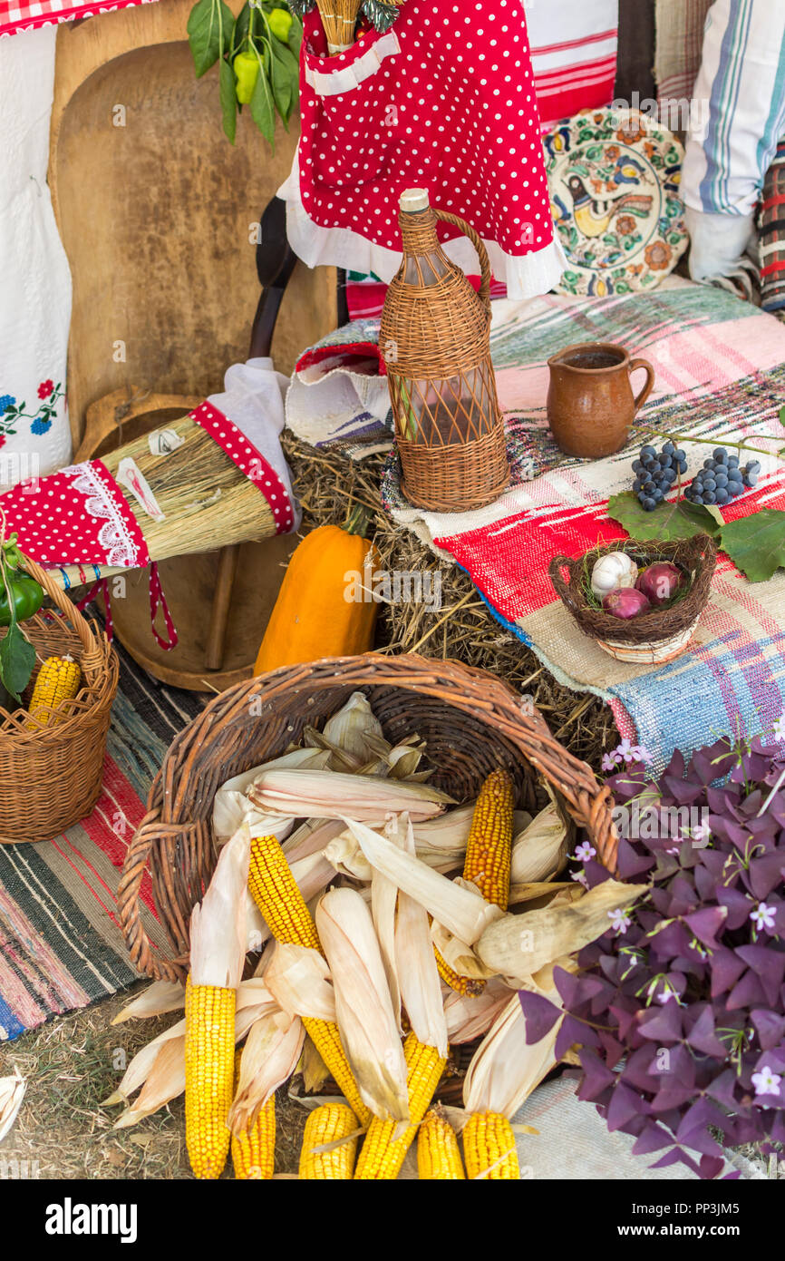 Traditional bio corn on the cob with vibrant colors Stock Photo - Alamy