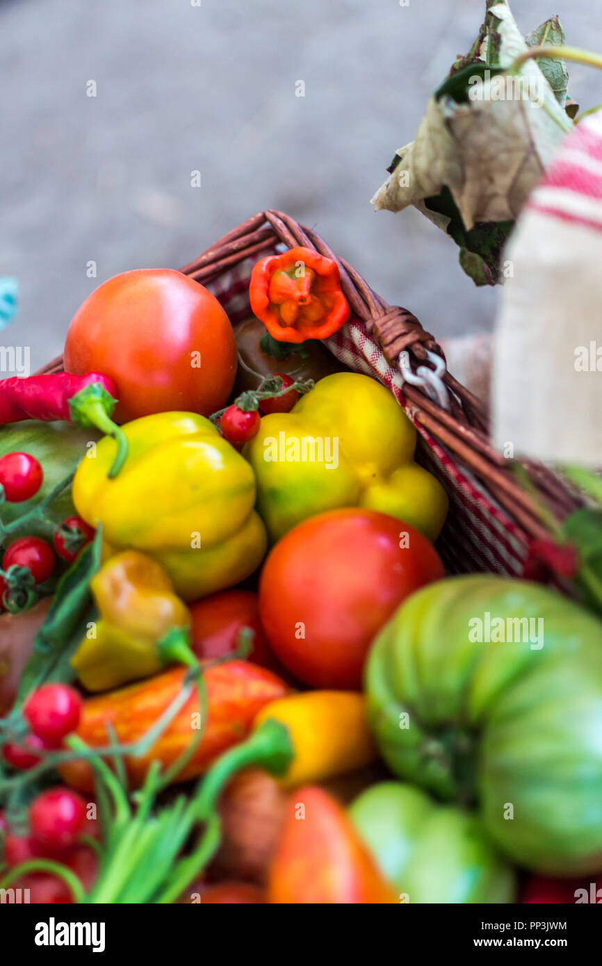 Vibrant and colorful vegetables Stock Photo - Alamy
