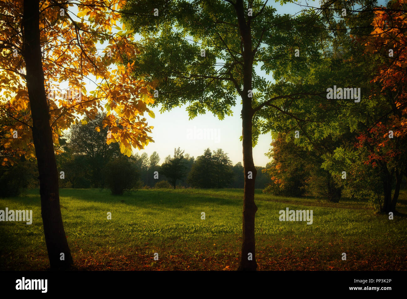 Autumn begins leaves changing color in first days of fall season change ...