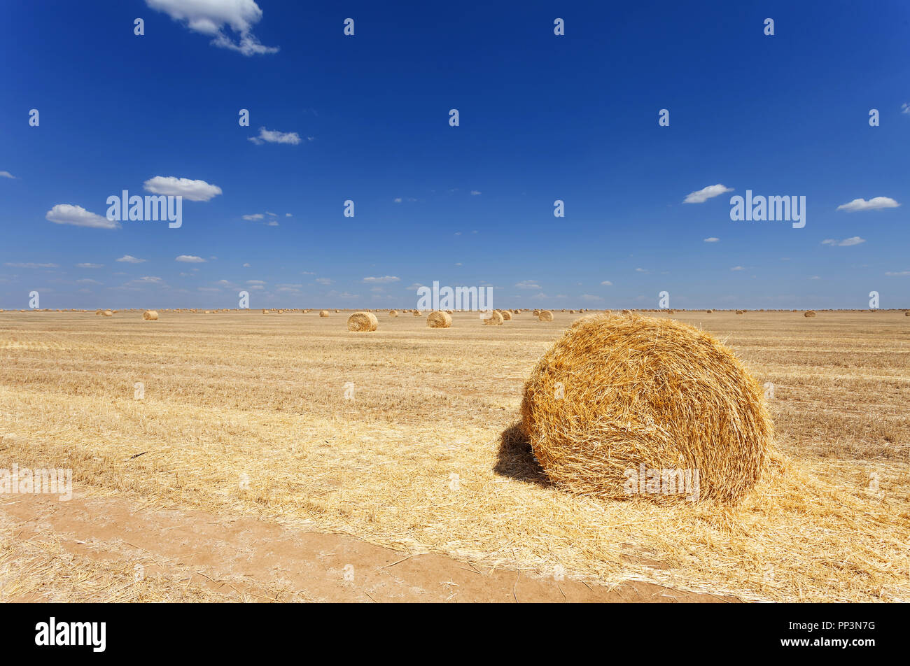 Agricultural fields endless hi-res stock photography and images - Alamy