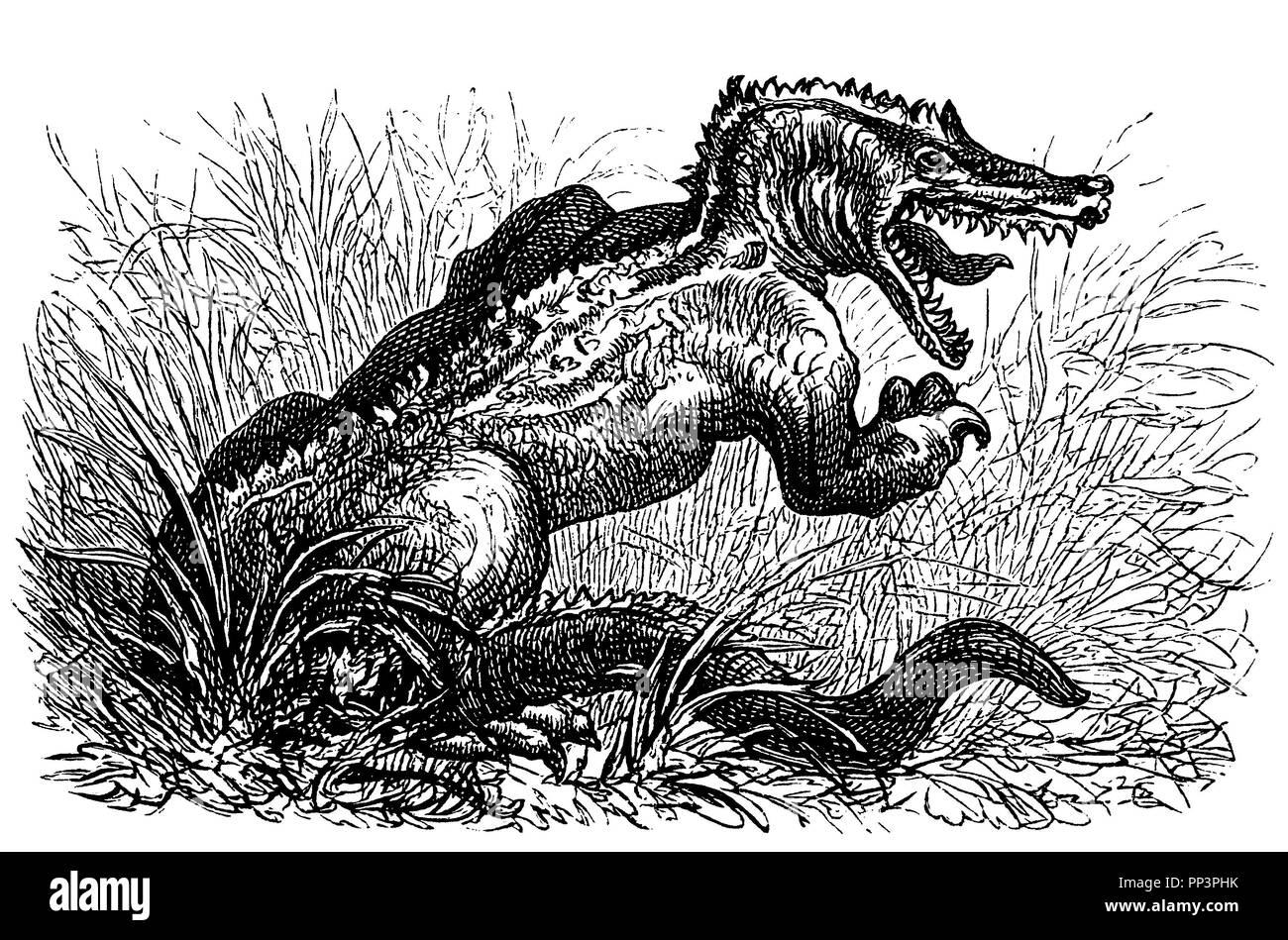 Dragon monstre hi-res stock photography and images - Alamy