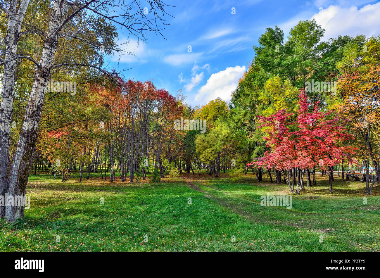 Cozy Corner of autumn city park with path through lawn between trees ...