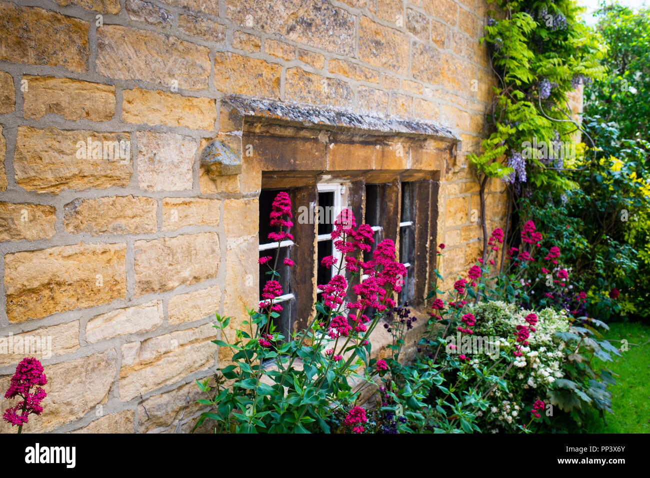 Honey colored stone hi-res stock photography and images - Alamy