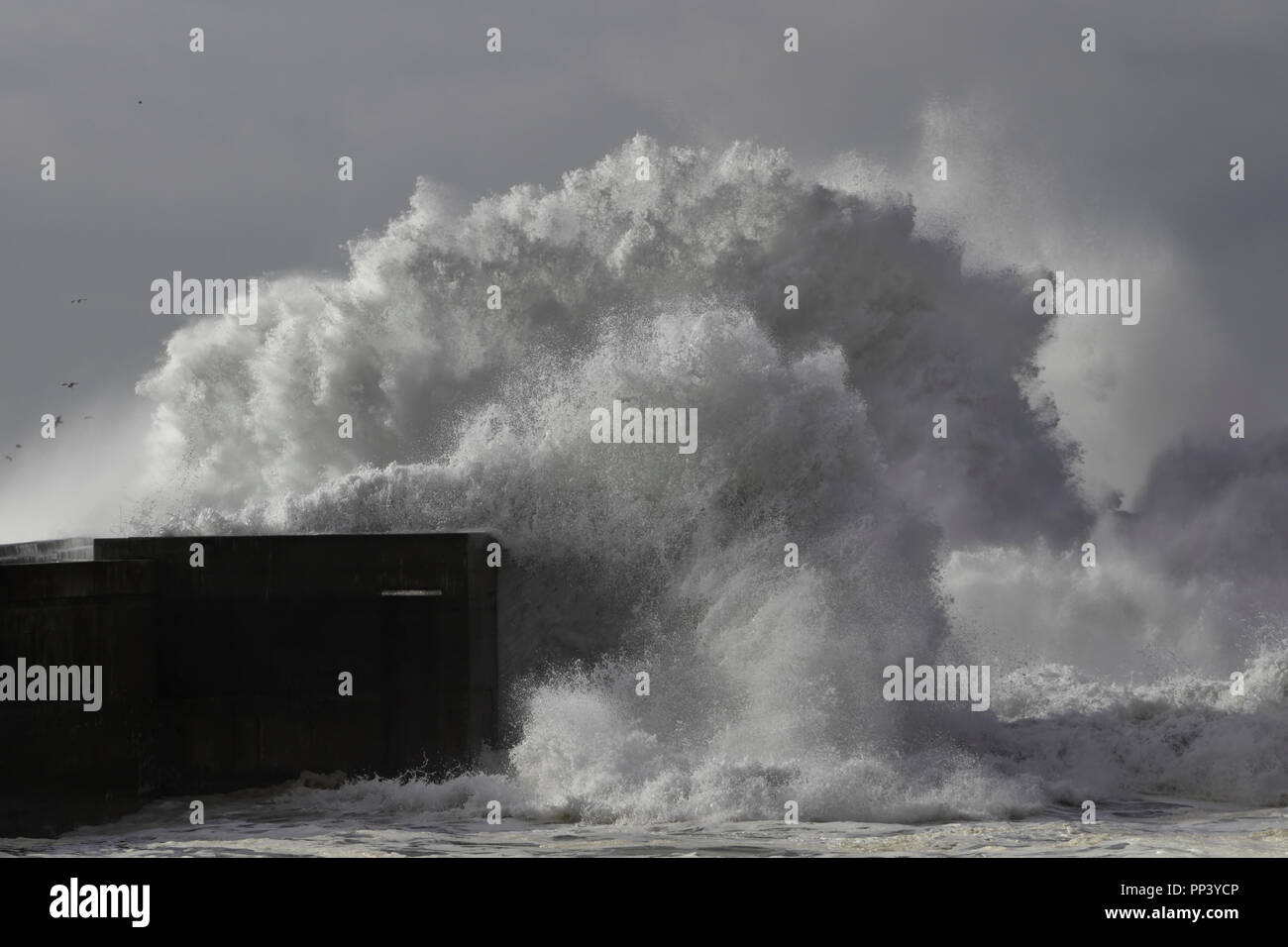 Huge stormy sea wave splash Stock Photo - Alamy