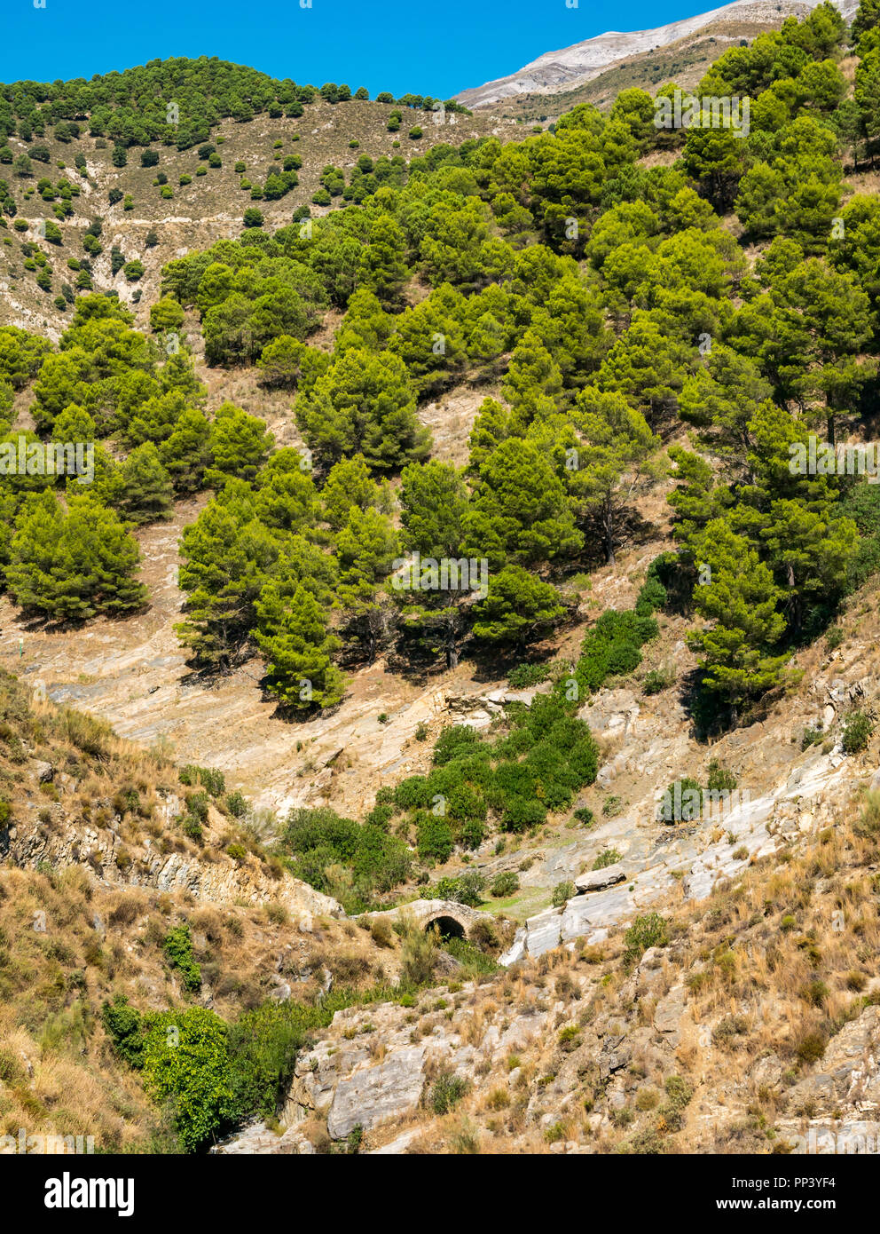 Old Roman bridge in steep gorge in Sierras de Tejeda Natural Park on ...