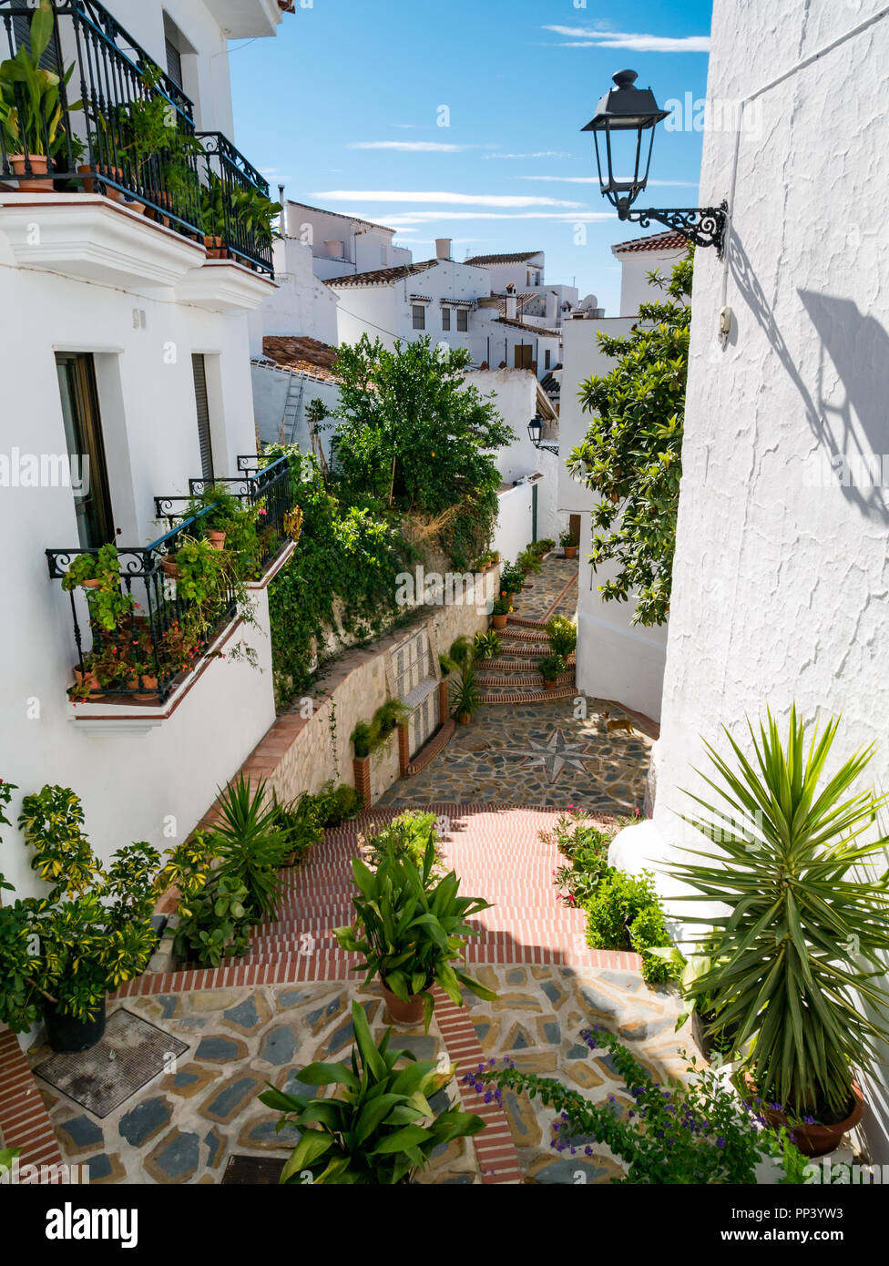 Picturesque narrow lane with traditional white houses and flower pots ...