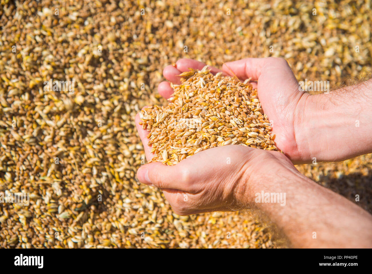 Hombre agricola hi-res stock photography and images - Alamy
