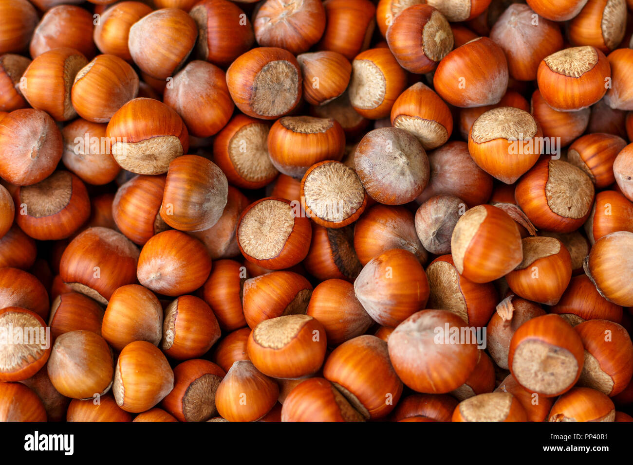 hazelnut close-up, beautiful background and natural food Stock Photo ...