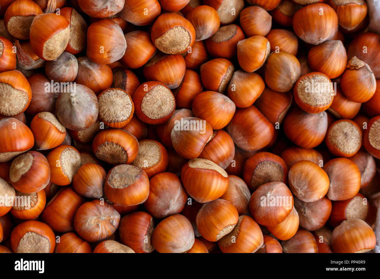 hazelnut close-up, beautiful background and natural food Stock Photo ...