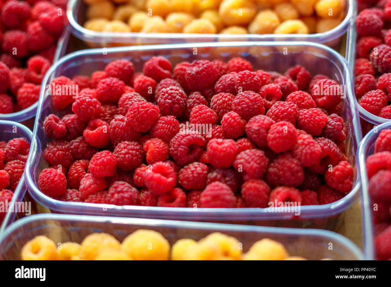 red and yellow raspberries in boxes, healthy food concept Stock Photo ...