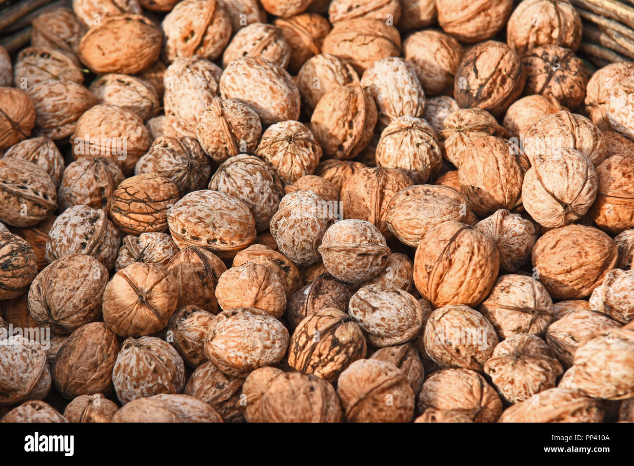 Walnut harvest. Walnuts in the wicker basket Stock Photo - Alamy