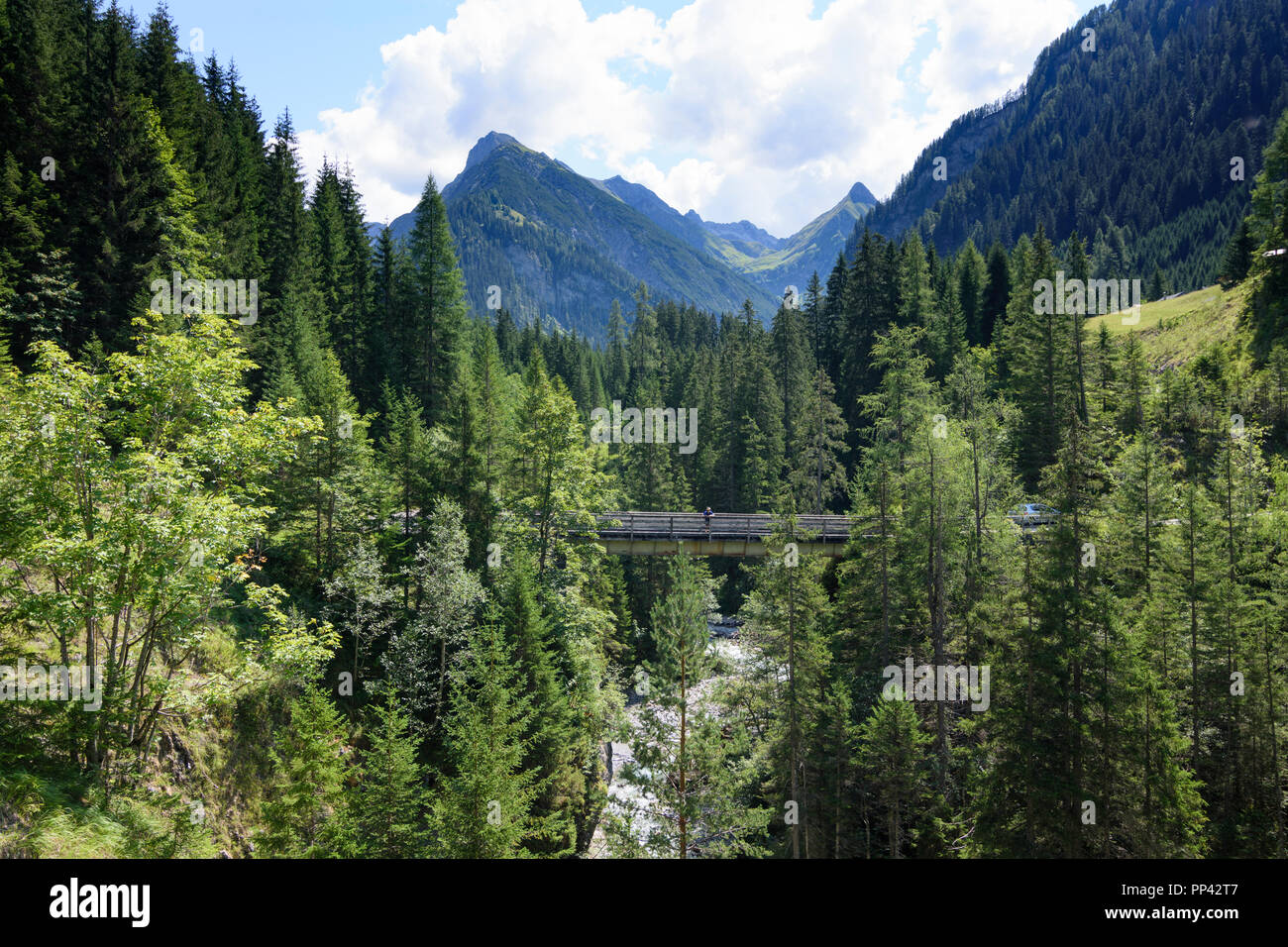 Lechtaler Alpen, Lechtal Alps: bridge over stream Parseierbach, Lechtal ...
