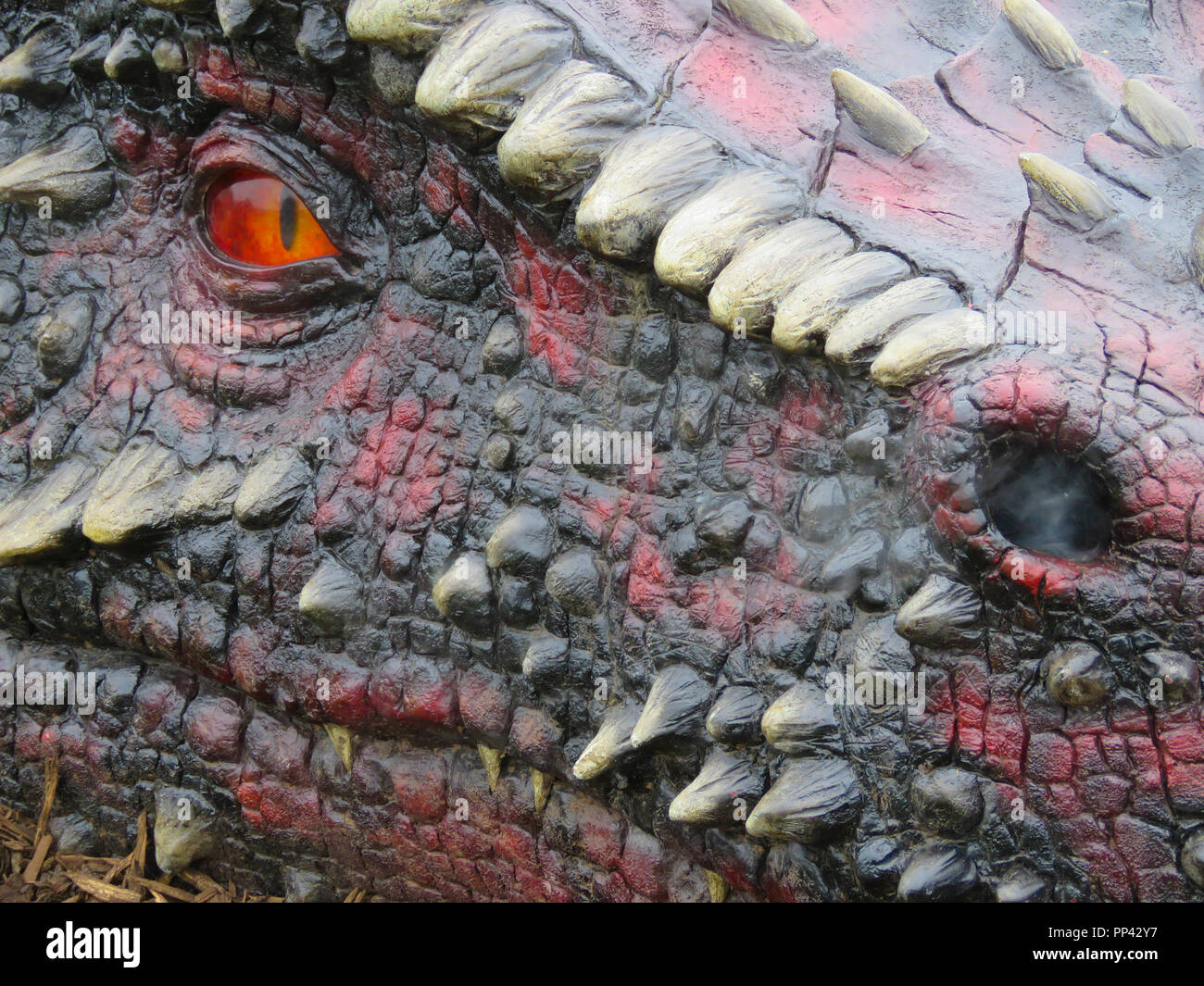 Very large realistic dragon in the grounds of Caerphilly Castle, South ...