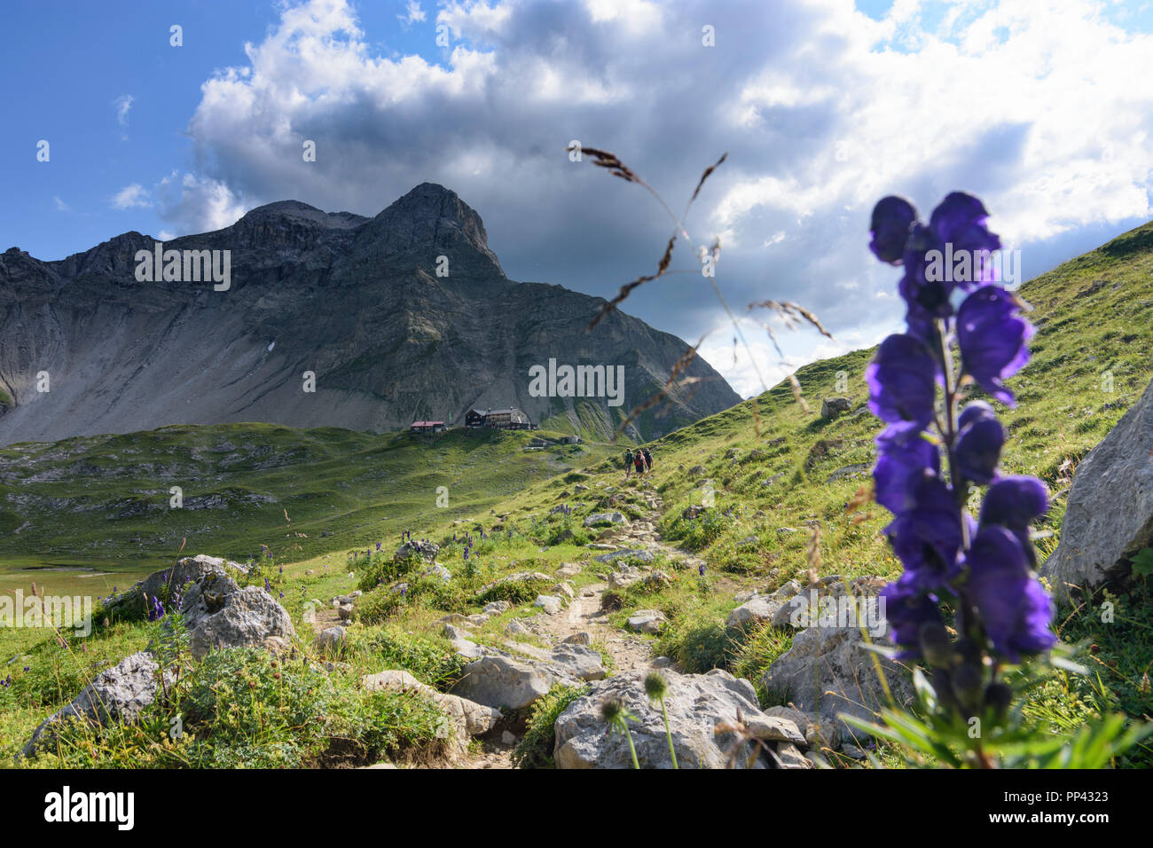 Lechtaler Alpen, Lechtal Alps: hiker at the way to mountain hut ...
