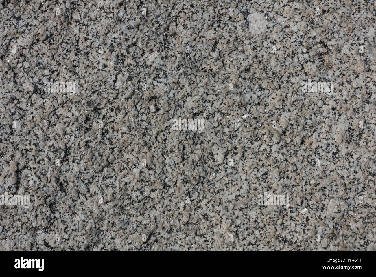 Common rock sardinia hi-res stock photography and images - Alamy