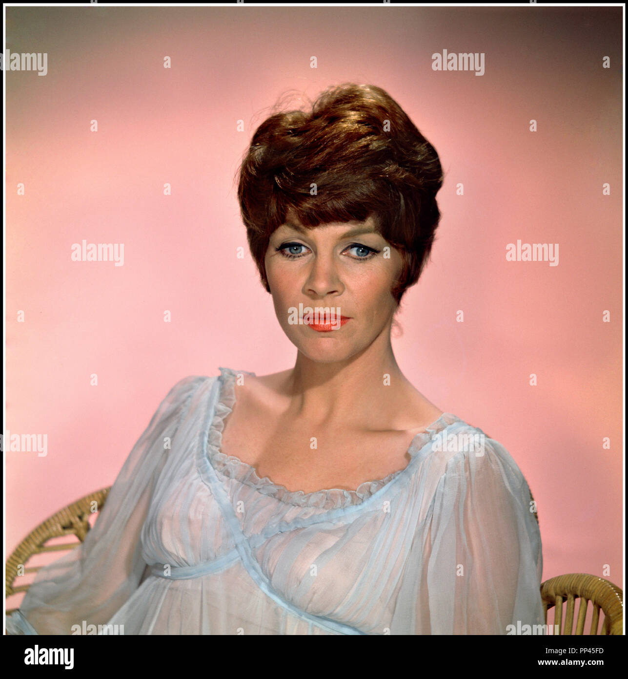 Sarah Hammer Stock Photos & Sarah Hammer Stock Images - Alamy