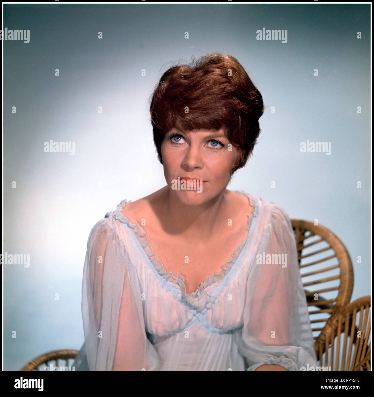 Sarah Hammer Stock Photos & Sarah Hammer Stock Images - Alamy