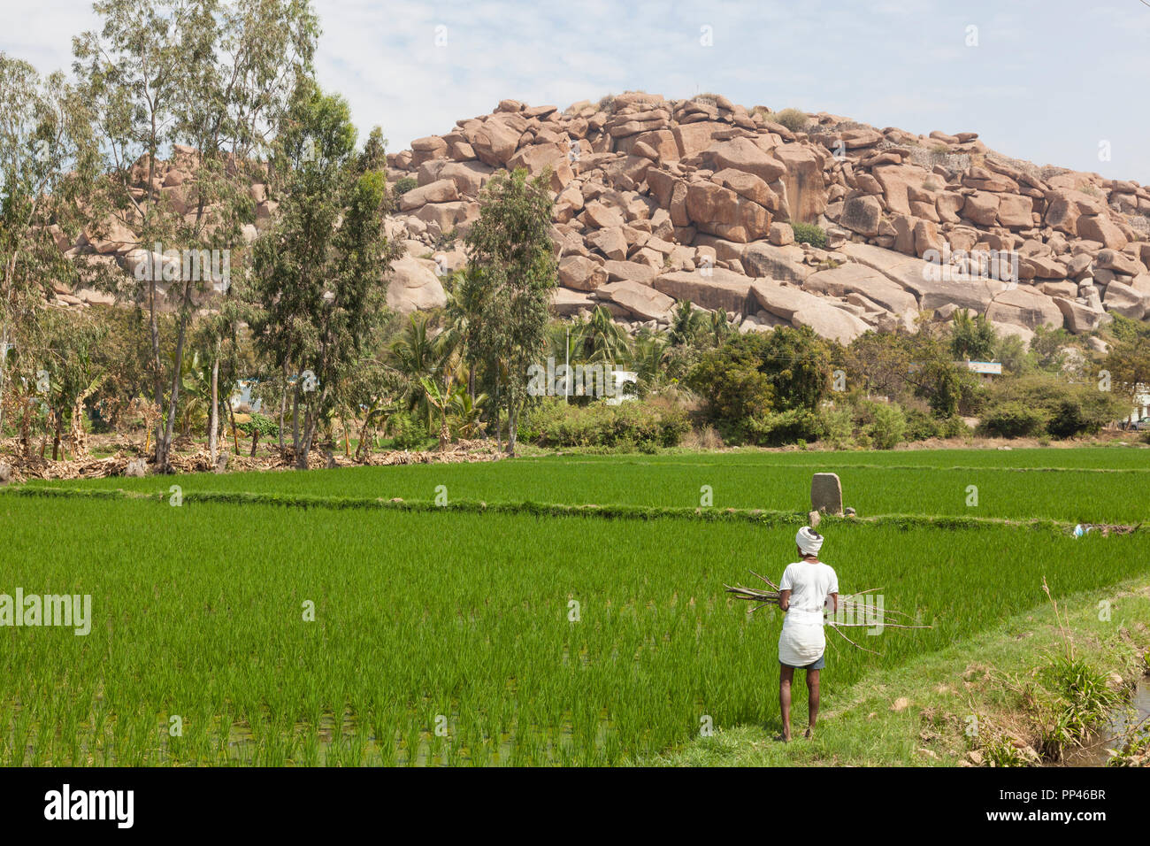 Indian farm labourer hi-res stock photography and images - Alamy
